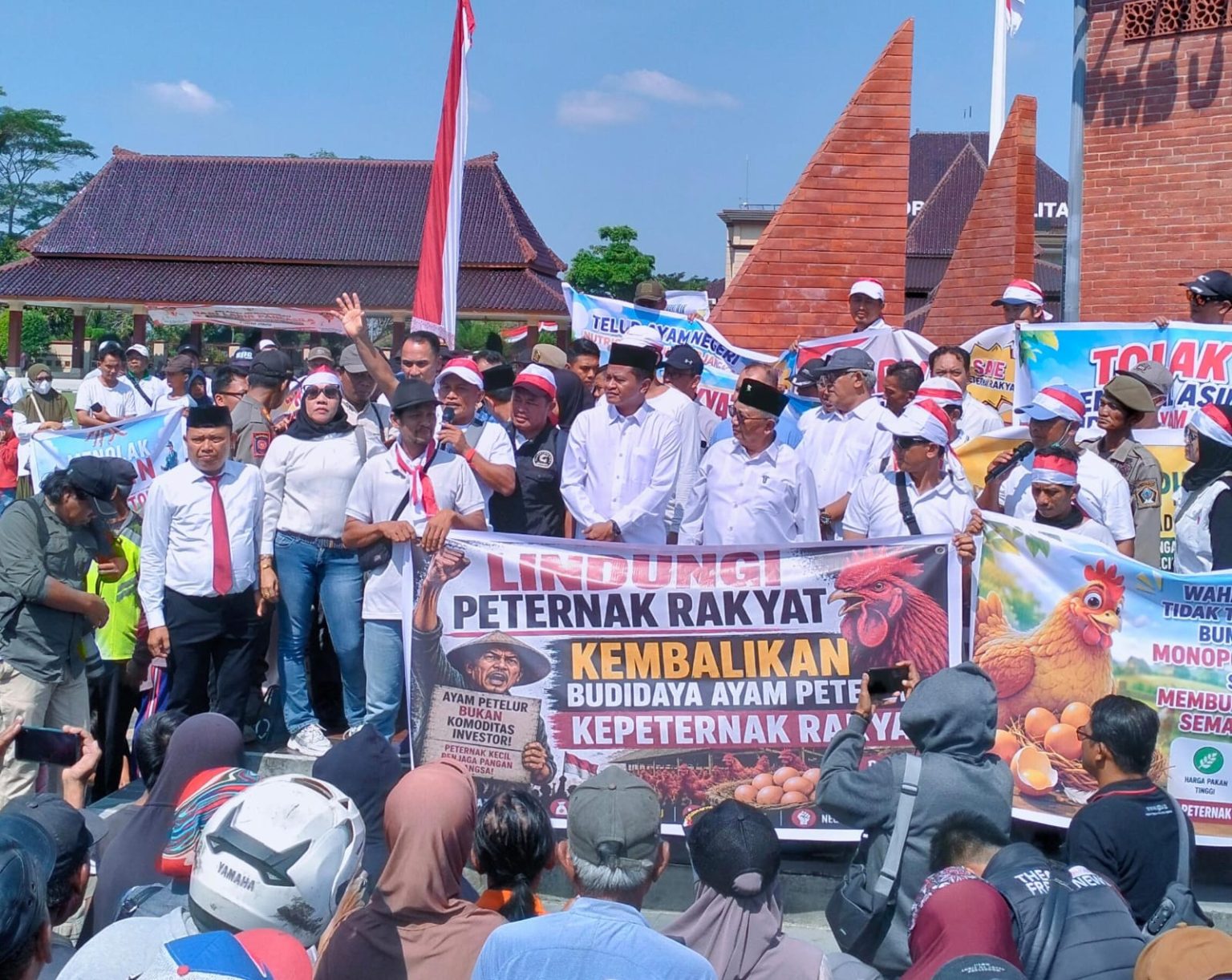 Harga Telur Anjlok, Peternak Blitar Bagi 1 Juta Telur Gratis dan Tolak ...
